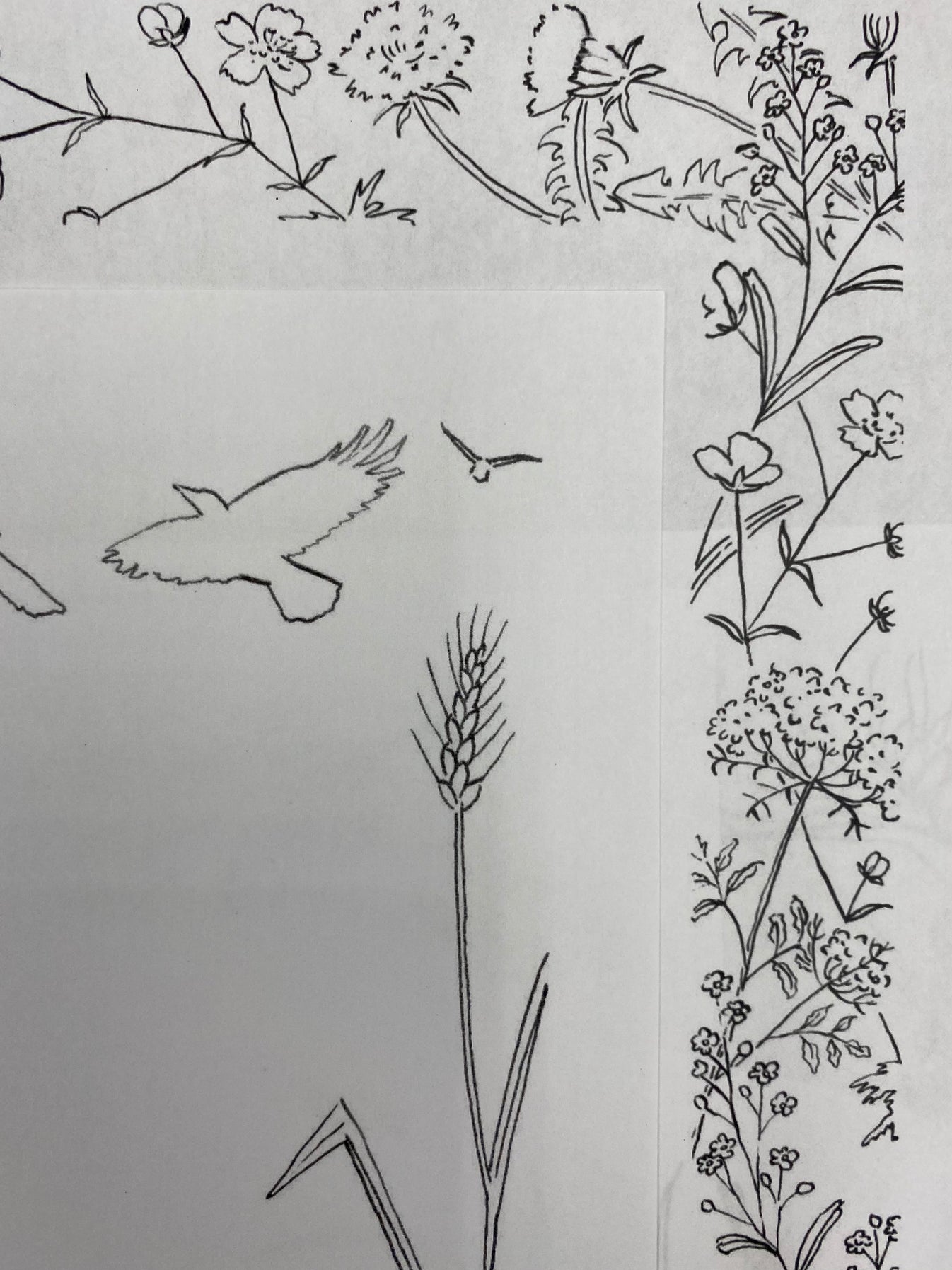 Prayer Card Borders B&W - Five Kingdom Parables - Printable Download ...