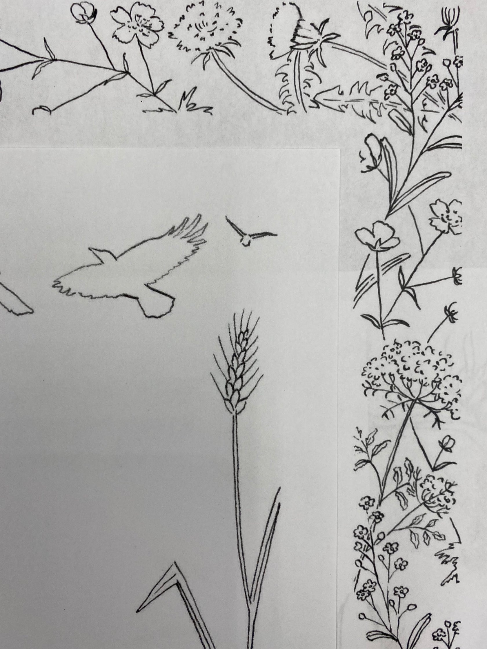 Prayer Card Borders B&W - Five Kingdom Parables - Printable Download ...